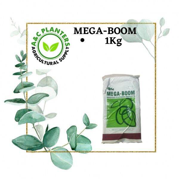 Mega-Boom Mango Flower Inducer 1kg | Lazada PH