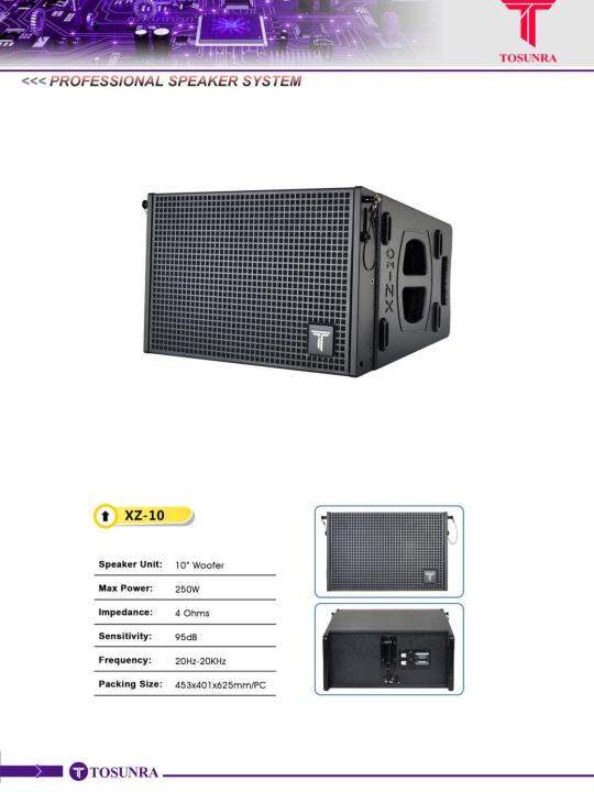 TOSUNRA XZ-10 LINE ARRAY SPEAKER BOX 250W 4Ω | Lazada PH