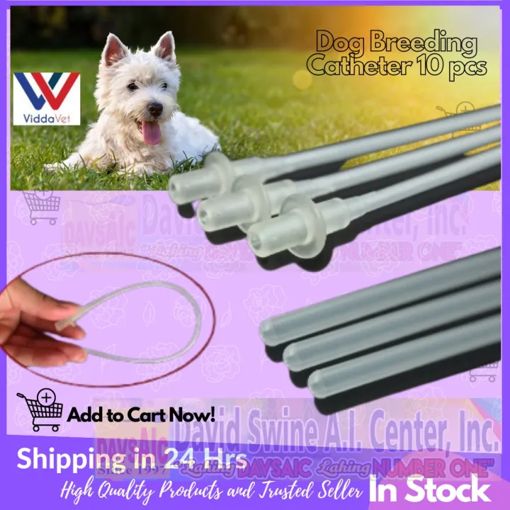 10 pcs Dog Breeding A.I. Catheter Disposable Flexible Artificial ...