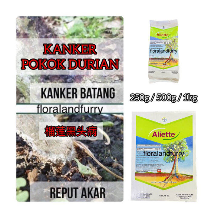 250g 1kg Bayer Aliette Fosetyl-aluminium 80% Fungicide Racun Kulat ...