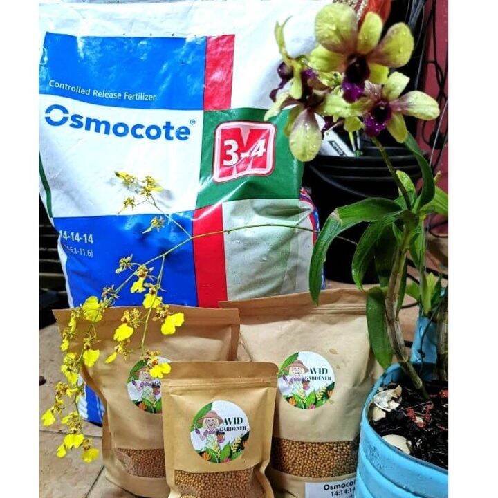 Osmocote Slow Released Fertilizer 14-14-14 100G/250G/1000G ( REPACK ...