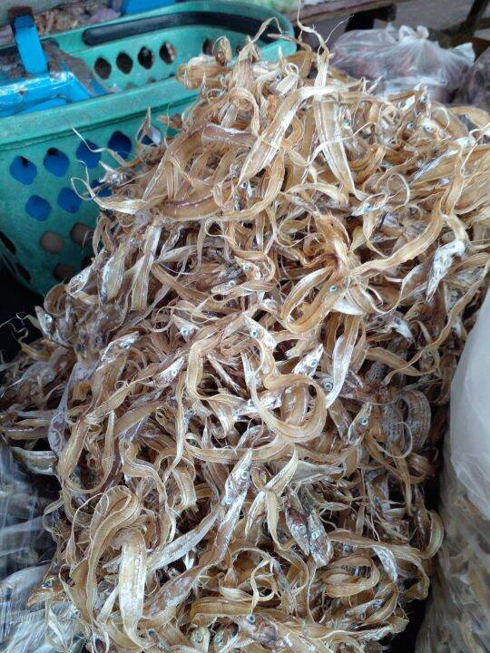 GOMOC/LANGKOY/ESPADA (SMALLEST) 250g 500g 1kg (VACUUM SEALED) | Lazada PH