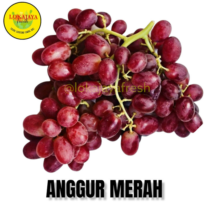 buah anggur merah segar 1 kg | Lazada Indonesia
