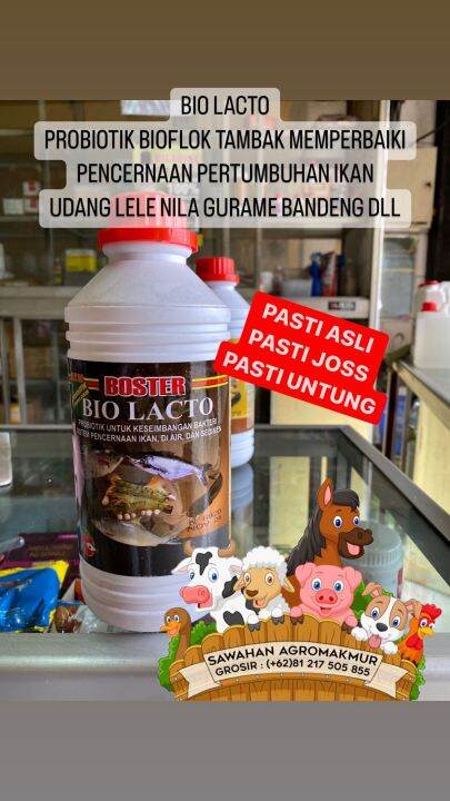 boster biolacto bio lacto probiotik prebiotik untuk kolam bioflok ...