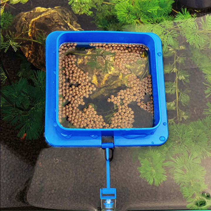 COD New Aquarium Feeding Ring Fish Tank Station Floating Food Tray ...