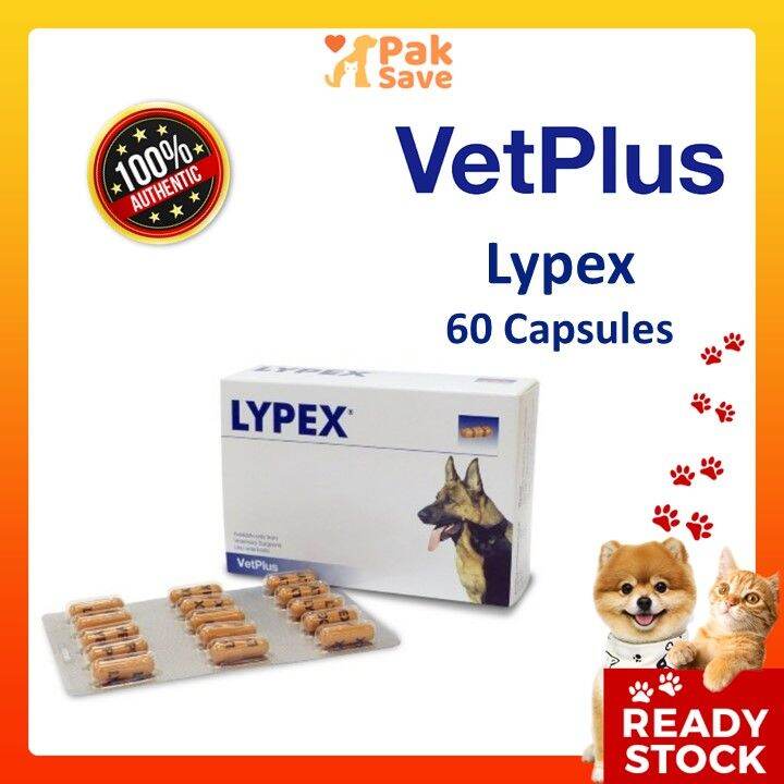 VetPlus Lypex 60 Capsules For Dogs and Cats - Help in Maldigestion or ...