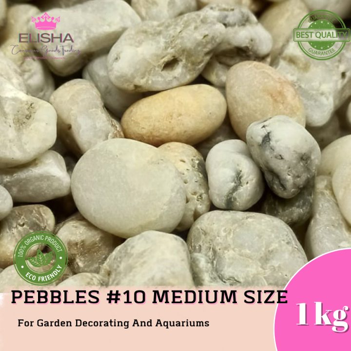 ELISHA | 1KG PEBBLES #10 MEDIUM SIZE FOR PLANTS SAFE TO USE AS GARDEN ...