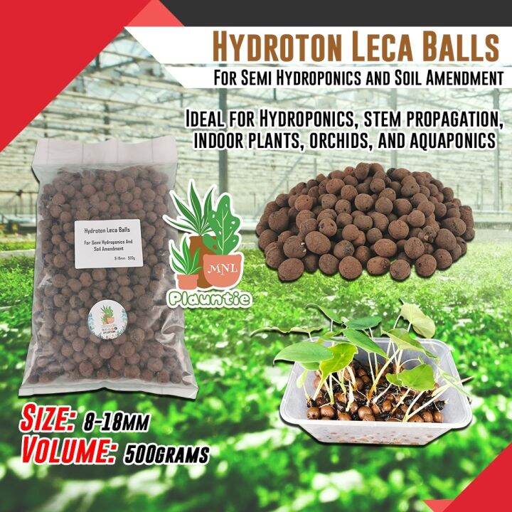 Hydroton Leca Balls 500g for Hydroponic Aquaponic System | Lazada PH