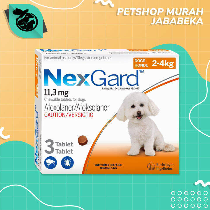 Obat Kutu Tungau Demodex Anjing NexGard Tablet | Lazada Indonesia