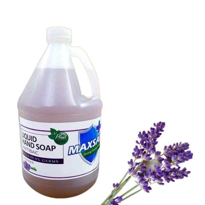 [Hot sales] ☞ 1G MaxSafe Plant-based Liquid Handsoap LAVENDER with Moisturizer- Balanced 1 ...