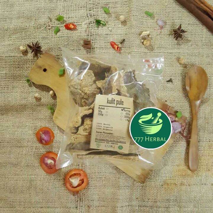 KULIT PULE BABAKAN PULAI KERING 250 GRAM - Alstonia Scholaris - MURNI ...