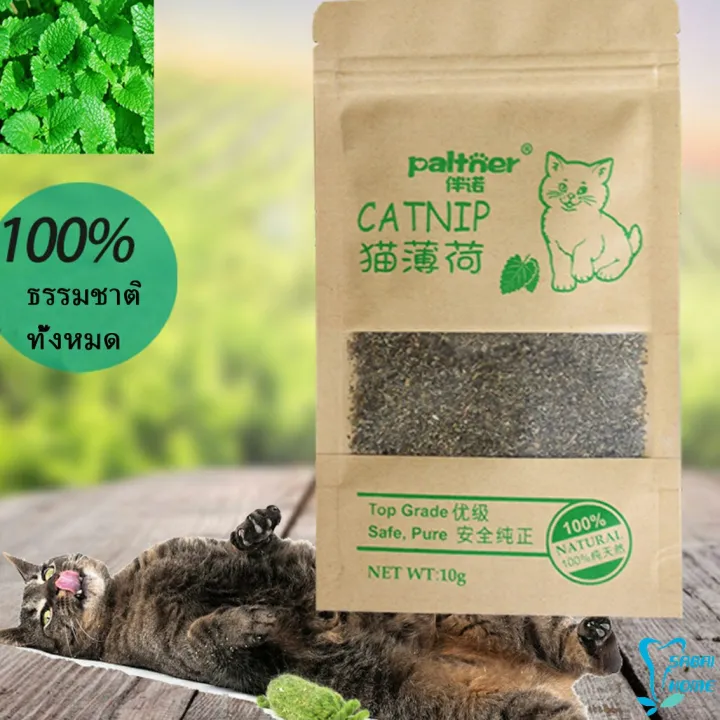 " ในซองซิบกระดาษ" ของแท้ 100% โรยของเล่นแมว 10g (พร้อมส่ง) ผงแคทนิป & ผงมาทาทาบิ Catnip | Lazada ...