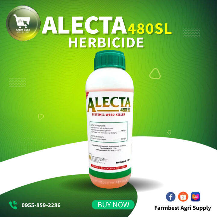ALECTA 480SL HERBICIDE 1L | Lazada PH