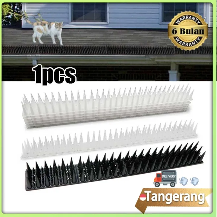 Paku Anti Kucing Paku Pagar Dinding Plastik Untuk Mengusir Hewan Kucing ...
