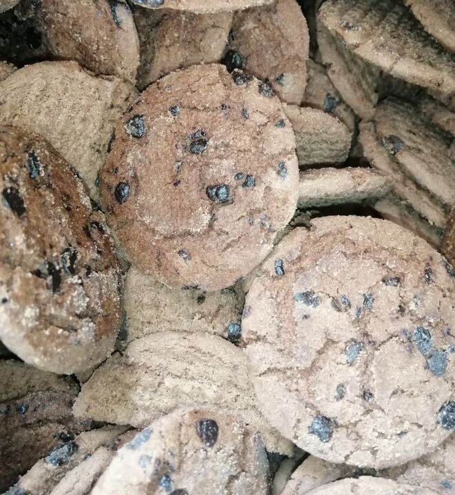 Chip Choco Biskut (500g) | Lazada