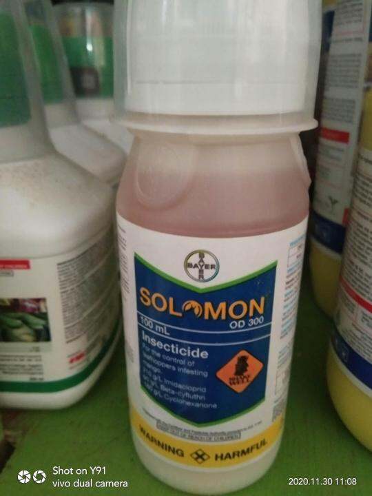Solomon Insecticide | Lazada PH
