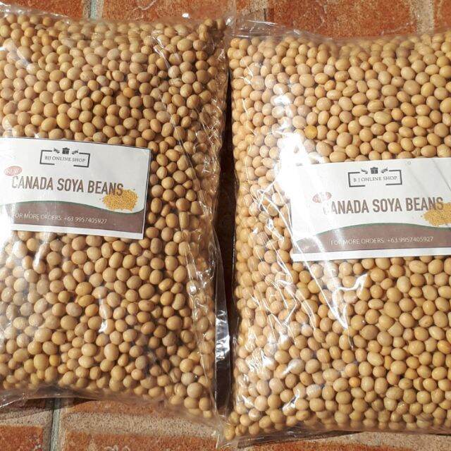 ♦☜☄Soya Beans Canada 1000Grams | Lazada PH