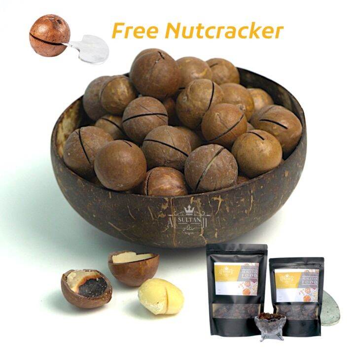 Macadamia 1KG Shell Roasted & Salted - Alsultan Kacang Macadamia ...