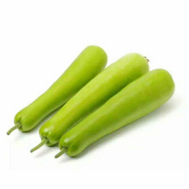 Labu air/siam isi 10 biji repack | Lazada Indonesia