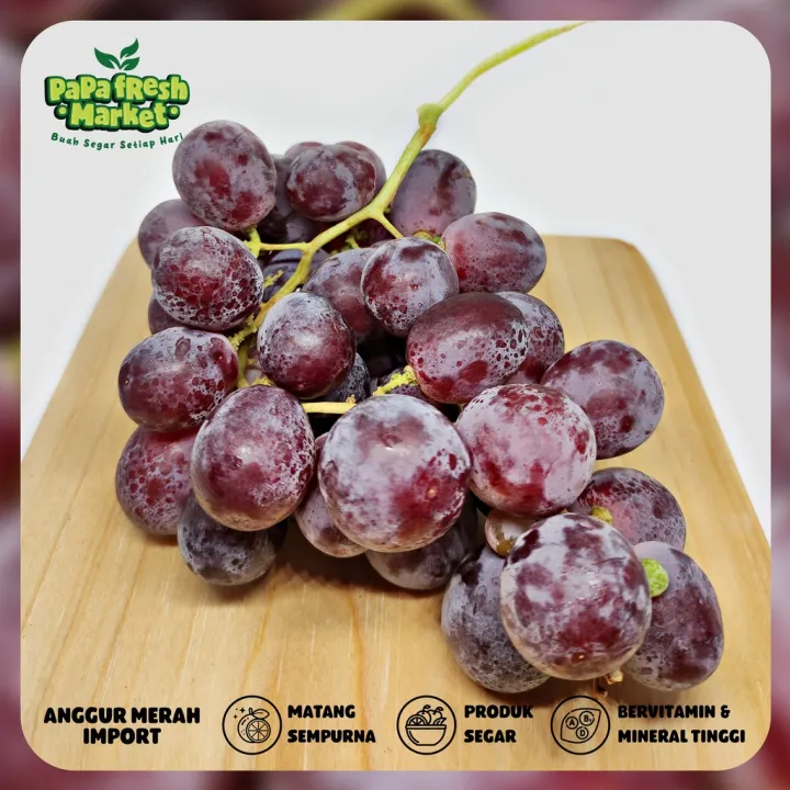 ANGGUR MERAH RED GLOBE PER 500GRAM SEGAR KHUSUS PENGIRIMAN JABODETABEK ...