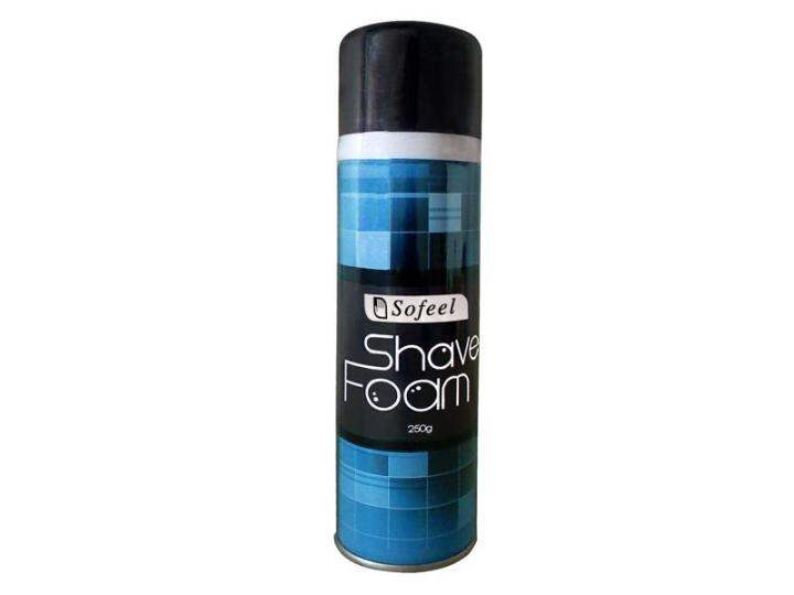Shave Shaving Foam 250G | Lazada PH