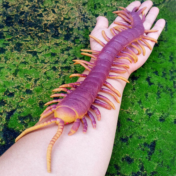 Super Large Simulation Soft Rubber Animal Centipede Model Static Trick ...