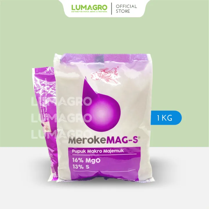 Pupuk Meroke Mags 1kg Kemasan Pabrik Magnesium Sulfat Nutrisi AB Mix ...