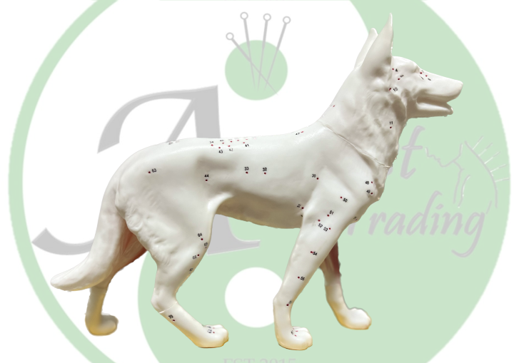 Dog Acupuncture Model | Lazada PH