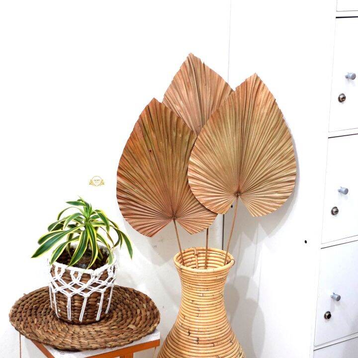 DAUN PALEM / DAUN PALM UKURAN KECIL DEKORASI RUSTIC | Lazada Indonesia