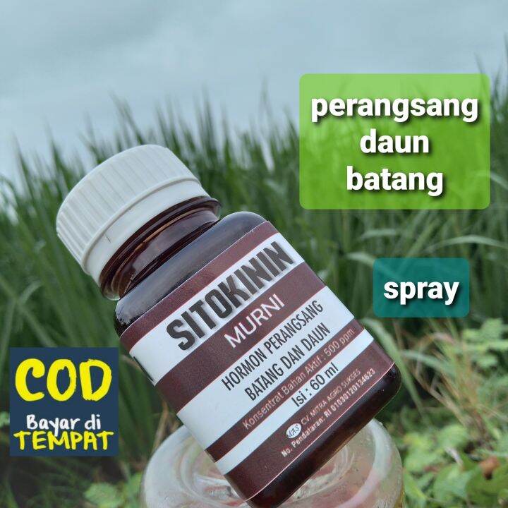 sitokinin murni 60 ml zpt hormon percepat tumbuh batang dan daun tunas ...