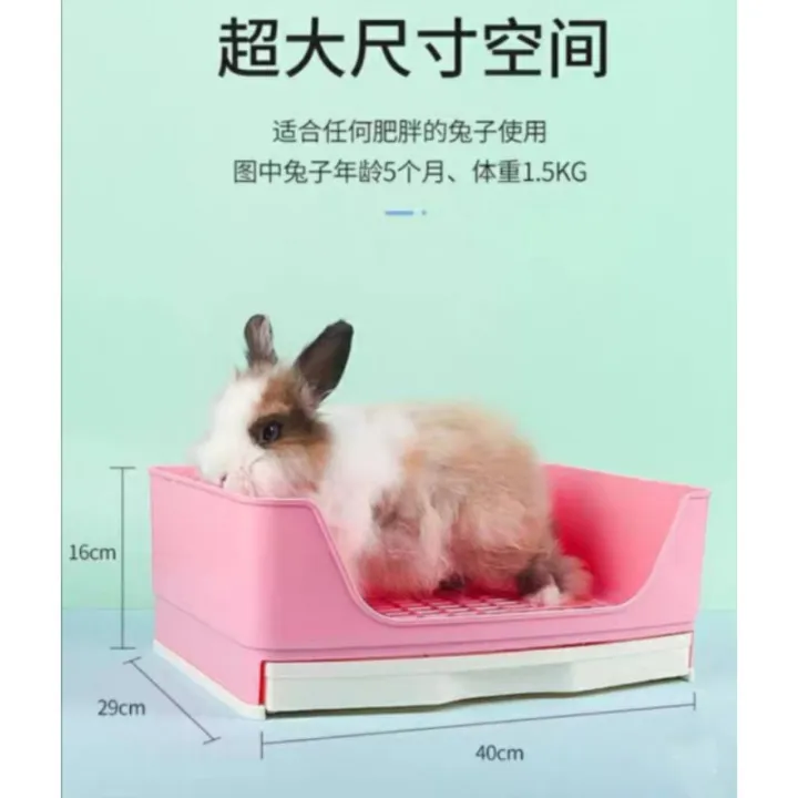 Large Rabbit/Guinea Pig Toilet | Lazada