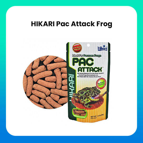 Hikari Pac Attack Food For Pacman Frogs, 40g | Lazada