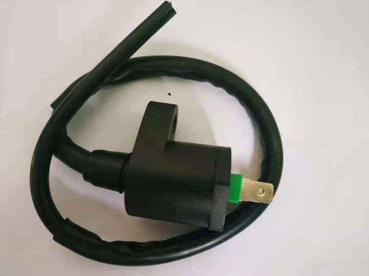 Ignition Coil Barako | Lazada PH