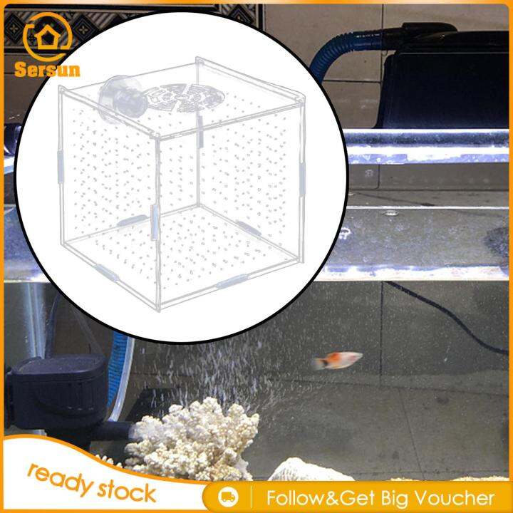 Sersun กล่องแยกตัวจ่ายน้ำใสสำหรับตู้ปลาที่ก้าวร้าวเด็กทารก10x10x10cm กุ้ง | Lazada.co.th
