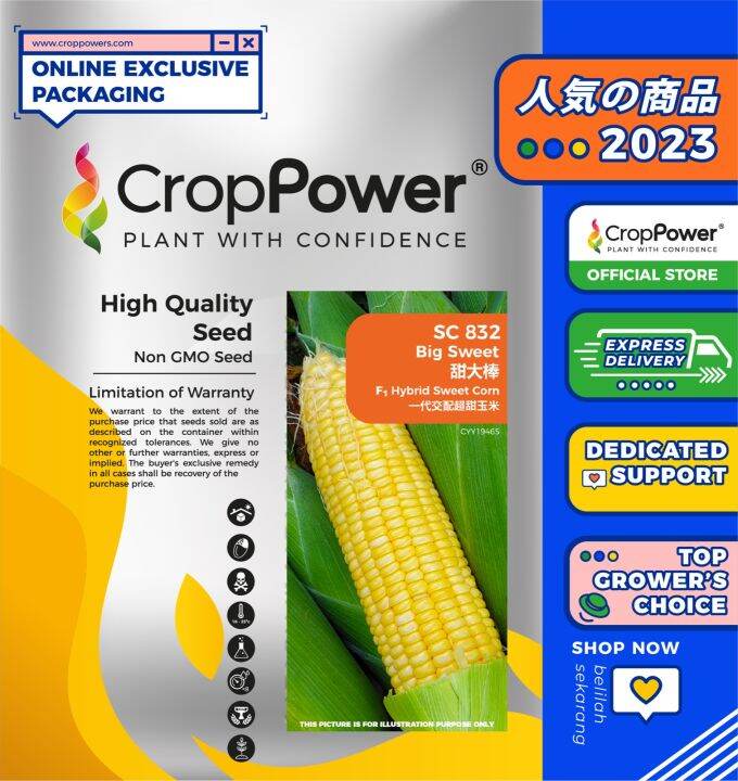 Biji Benih Jagung Manis /Sweetcorn seeds / 甜玉米种子 – CROP POWER (F1 ...
