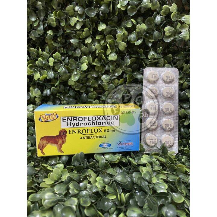 Papi Enroflox Anti- Bacterial 50mg Tablet Enrofloxacin | Lazada PH