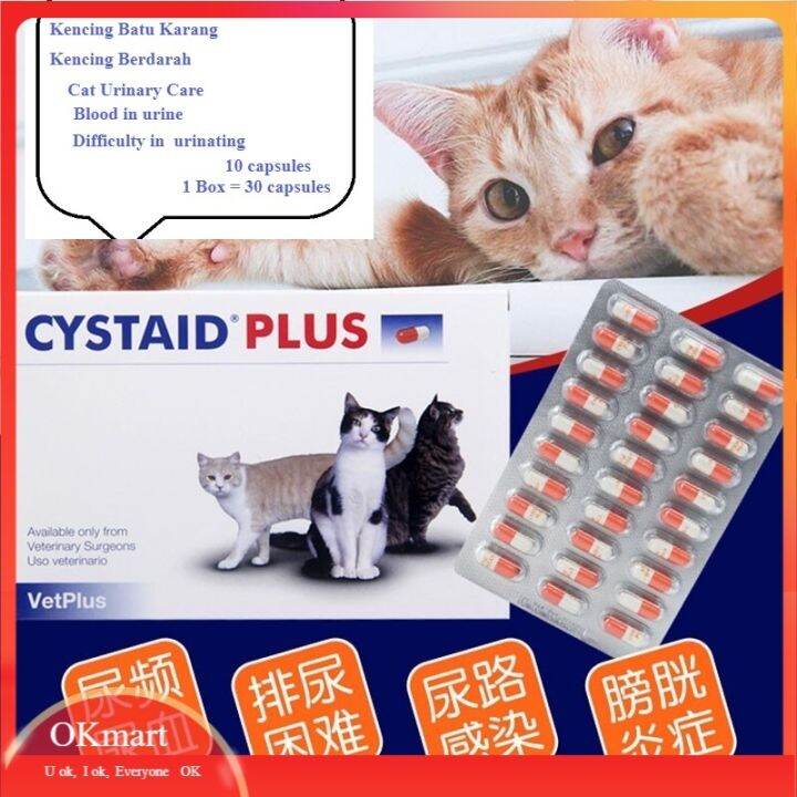 VetPlus Feline Cystaid Plus 30 Capsules, Urinary Tract Supplement cat ...