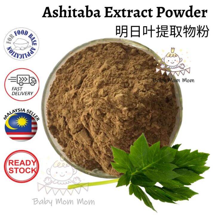 Ashitaba Extract Powder / Angelica keiske 明日叶粉提取物 | Lazada