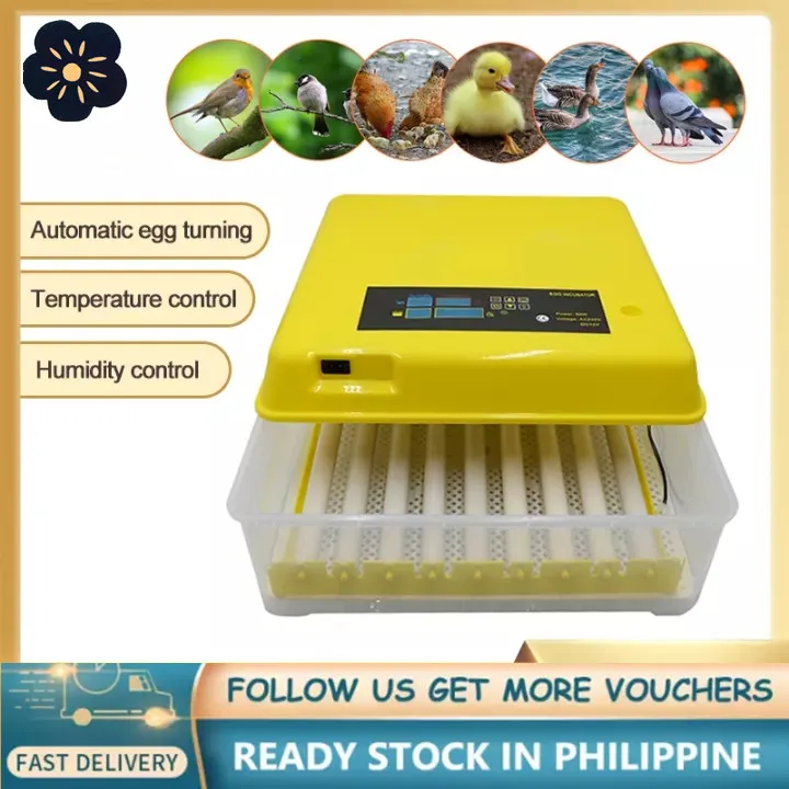 220V 12/16/36/56/64 Breeding Egg Incubator Digital Automatic Incubator ...