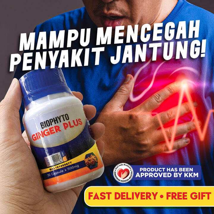 CAPSULE BLACK GINGER /KAPSUL KUNYIT HITAM / KUNYIT HITAM ORIGINALBlack ...