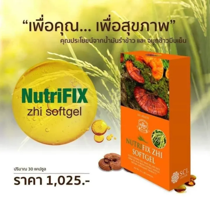 SOL NUTRIFIX ZHI SOFTGEL [Dietary Supplement Product : 30 แคปซูล] | Lazada.co.th