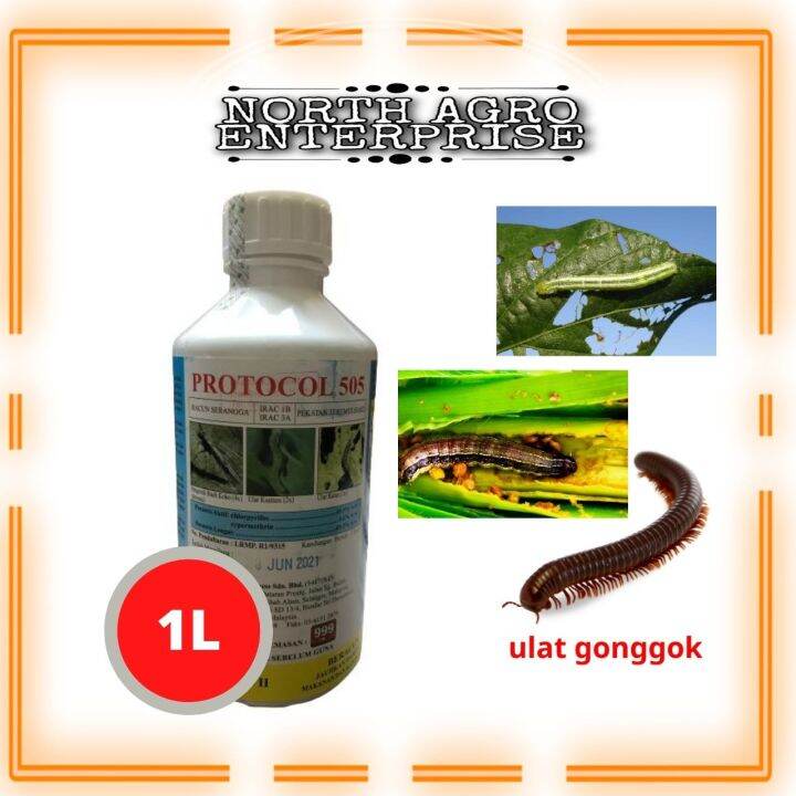 1L Protocol 505 / Nucleus-v 505 racun Ulat Pengorek Buah Dan Lalat Buah ...