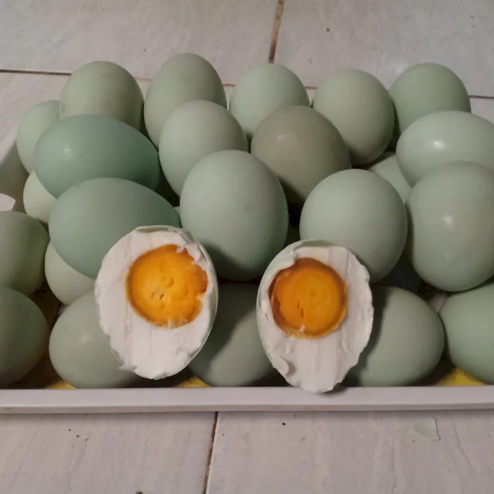 Telur Asin Ukuran Besar isi 10 Butir Masir dan Gurih/Telur asin Matang ...