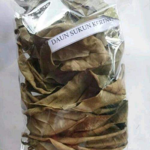 simplisia daun sukun 1 kg | Lazada Indonesia