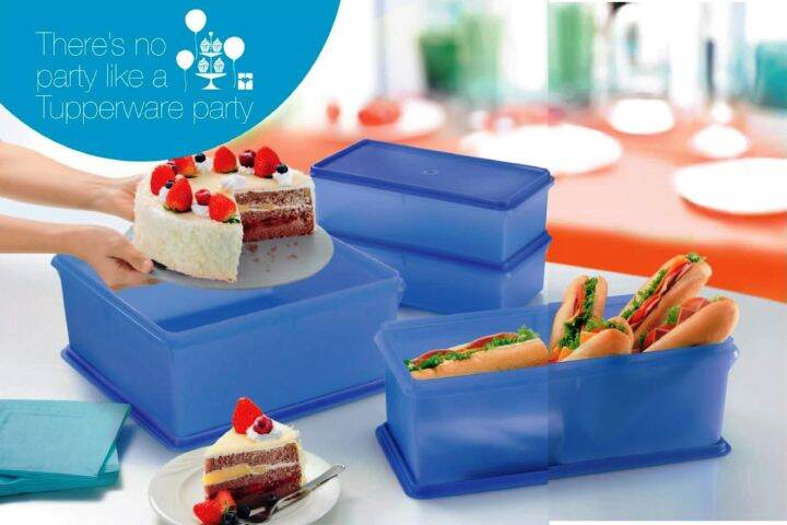 Tupperware Mega Keeper Set | Lazada