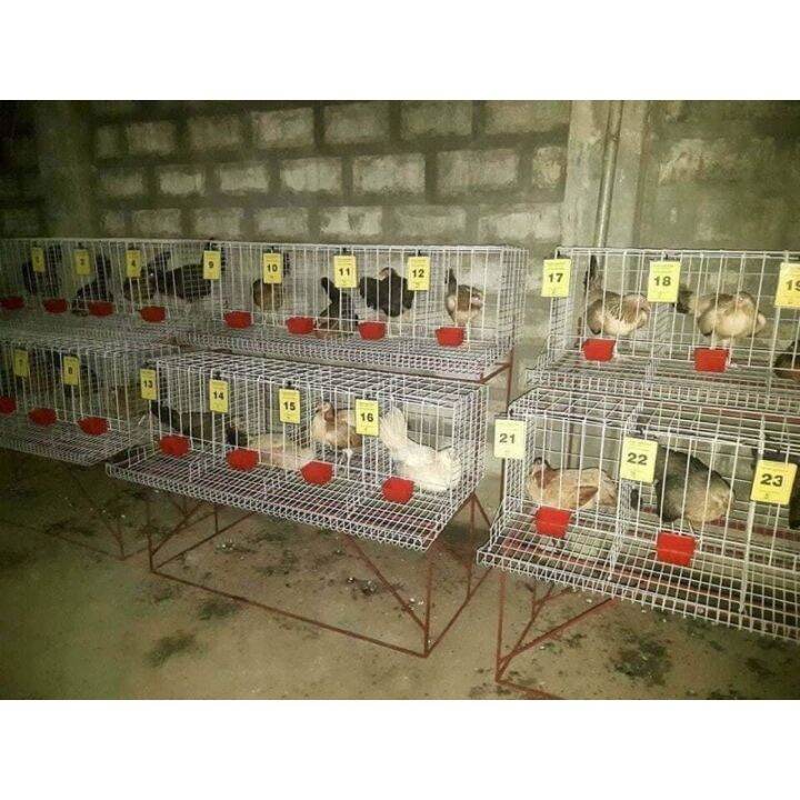 battery cages 4 doors | Lazada PH