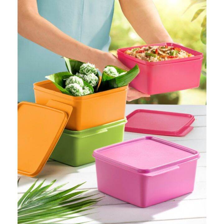 Tupperware Snack n Stack 1.2L - 1/4 pcs | Lazada