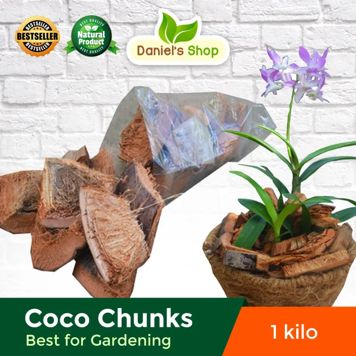 Coco chunks or Bunot 1 Kgs. (Approx 25 to 30 pieces per pack) good for ...