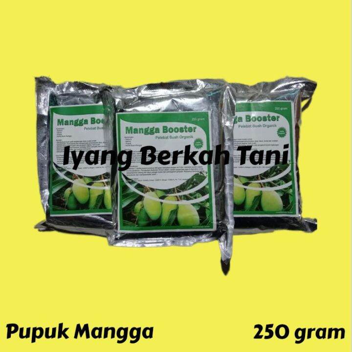 Pupuk Organik Booster Pelebat Pemanis Buah Mangga Pupuk Perangsang Mangga Cepat Berbuah Lebat ...
