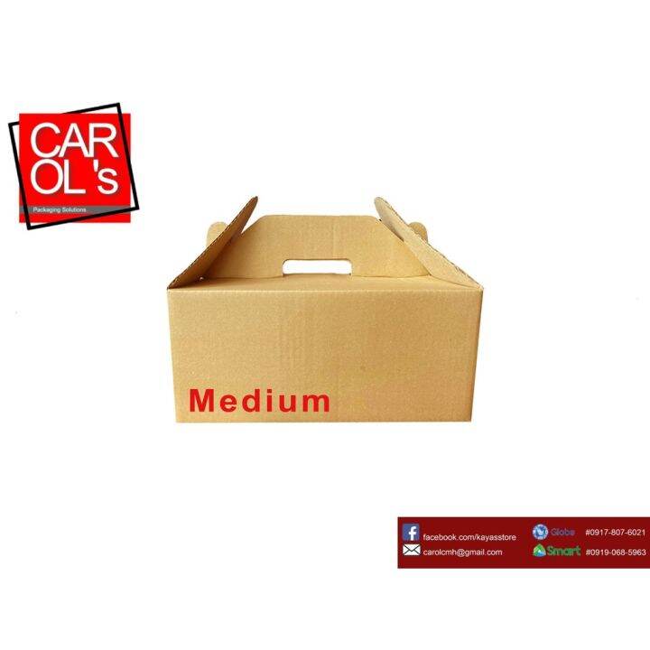 10 pcs | Lechon Belly Box| MEDIUM | Chicken Box | Fruit Box | Takeout ...